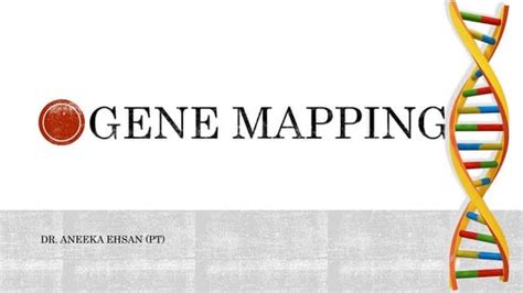 Gene Mapping Ppt Ppt