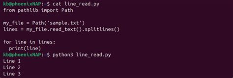 How To Read A File Line By Line In Python Phoenixnap Kb