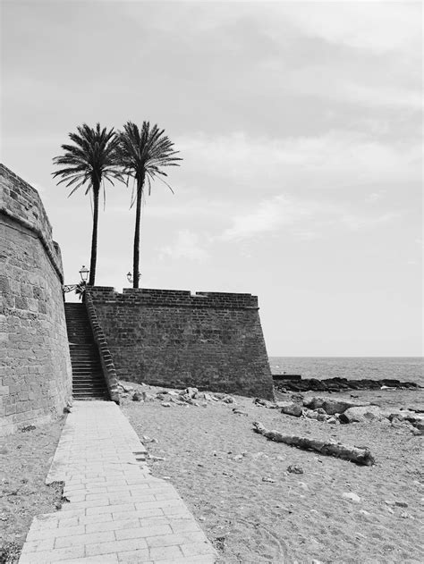 야자수가있는 돌담과 물가의 돌담 사진 Unsplash의 무료 알게 이미지