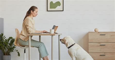 하얀 래브라도 개가 기다리고 있는 집 안의 책상에서 일하는 젊은 여성의 최소한의 초상화 복사 공간 사진 Unsplash의