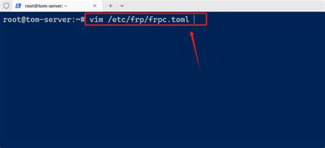Docker 搭建运行 Frp 内网穿透教程（含新版 Toml 配置示例） 无极研究院