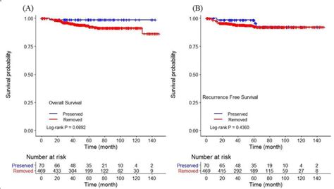 Overall Survival And Recurrence Free Survival Download Scientific Diagram