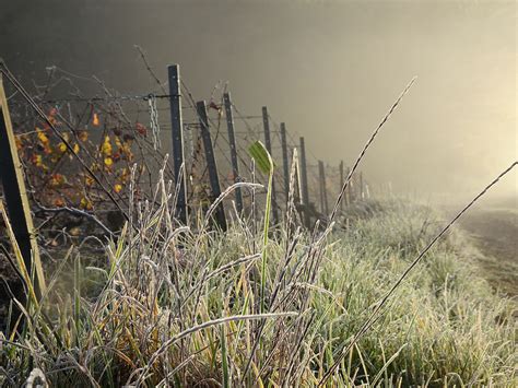 Scrolling Galleries Vanyadoing