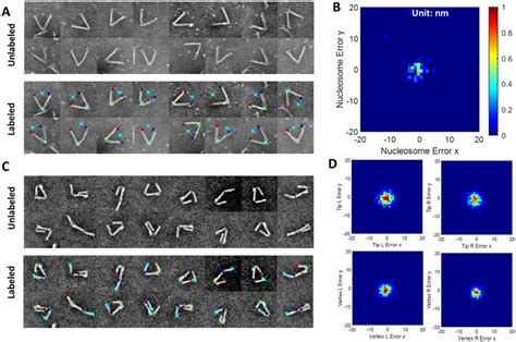 pose estimation performance for hinge nucleosome and steridyn datasets