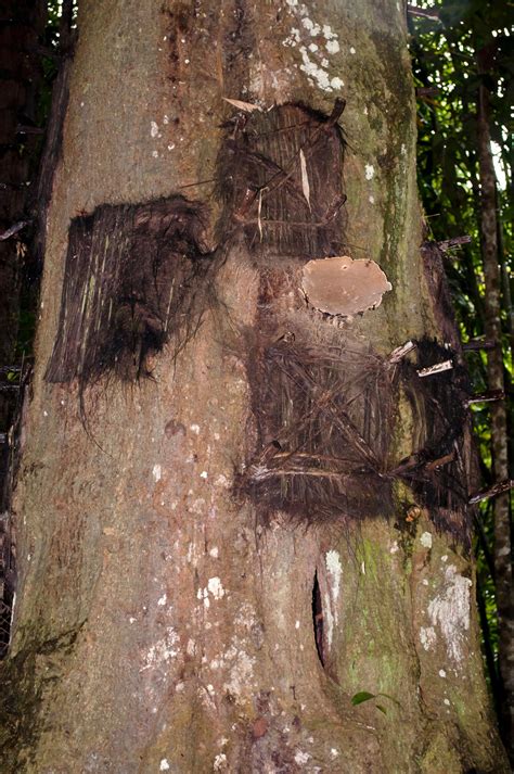 Eaten By Vultures Dug Up Every Seven Years Or Turned Into BEADS The Weirdest Burial Rituals