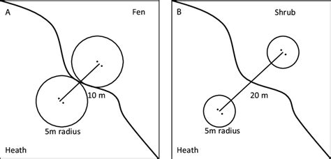 Sampling Design Conceptual Figure Of The Sampling Design Showing Fen Download Scientific