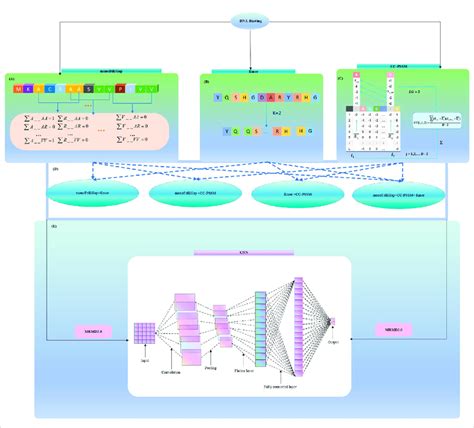 Hybriddbp Model Structure Flowchart A Extract Features Using