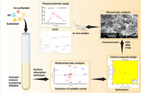 Multivariate Data Analysis And Central Composite Design Oriented Optimization Of Solid Carriers