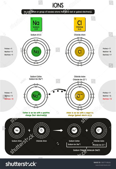 Ions Infographic Diagram Showing Atoms Structure Stock Vector Royalty Free 1067718926