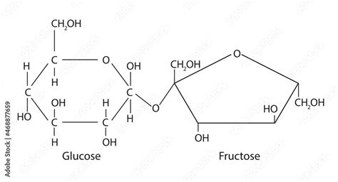 Chemical Formula Of Sucrose Molecular Structure Of Sucrose Stock