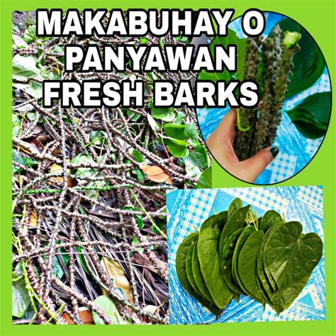 Makabuhay O Panyawan Fresh Barks 200 Grams Shopee Philippines