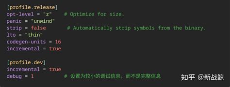 Rust 编译选项 知乎