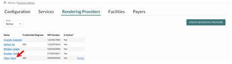 Box 24j Rendering Provider Rcm