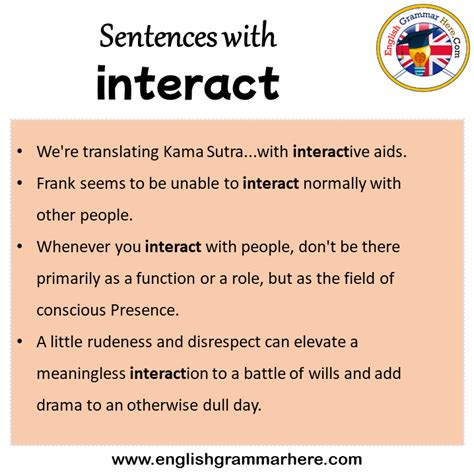 Sentences With Interact Interact In A Sentence In English Sentences