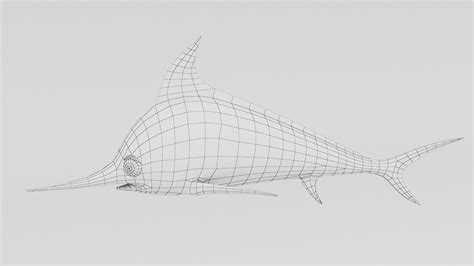 Sword Fish Cartoon Animate 3d Model Turbosquid 2365248