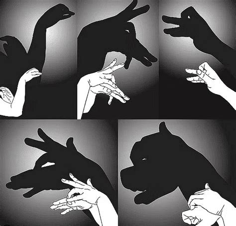 Light And Shadow 2 Class 2 Worksheet Science