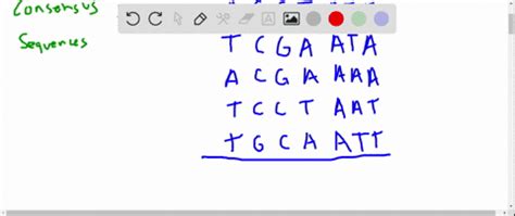 SOLVED What Is The Consensus Sequence Of The Following Six DNA Sequences GGCATTGACT GCCATTGTCA