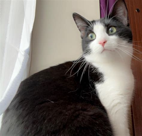 F18 Cat Rating R Bisexualteens