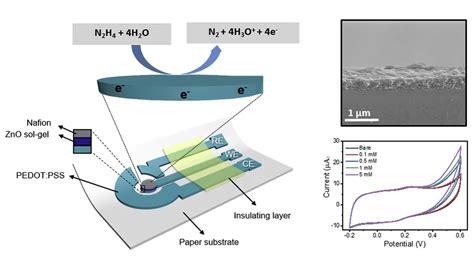 A Paper Based Inkjet Printed Pedot Pss Zno Sol Gel Hydrazine Sensor Sensors