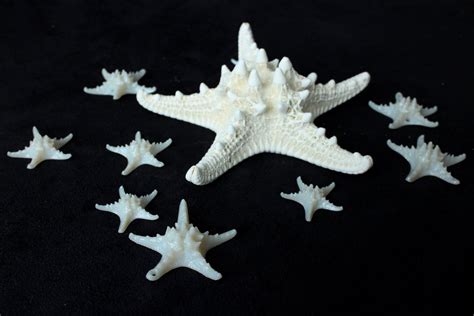 3d Modeling Workflows 6 Steps Instructables