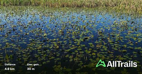Esler Loop Via Mallett Trail Michigan 18 Reviews Map Alltrails