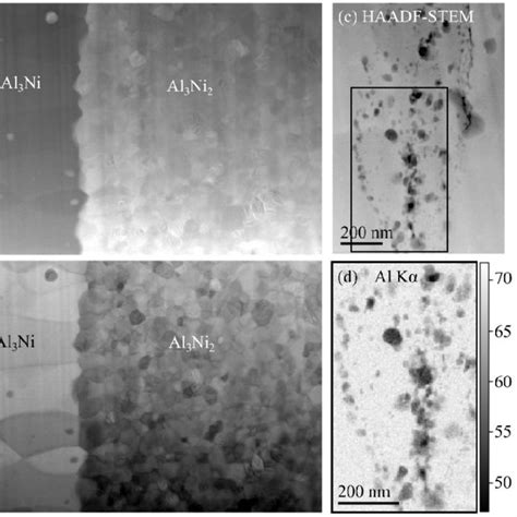 A Haadf Stem And B Corresponding Bf Stem Image Of The Interface