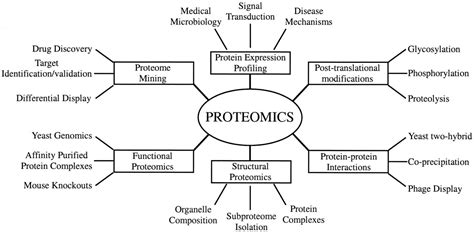 Proteomics Introduction Methods Types And Application Artofit