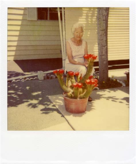 Found Polaroids Short Stories Based On Found Polaroids