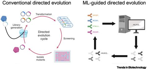 Transforming Drug Development With Synthetic Biology And Ai Trends In
