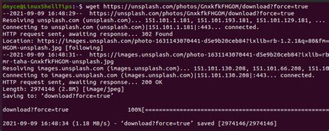 how to download file using wget via proxy in linux