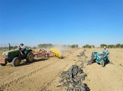 金川区全面开展废旧农膜集中清理回收