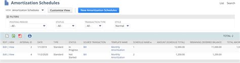 the netsuite amortization feature suiterep