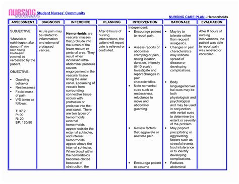 Care Plan Approach Template
