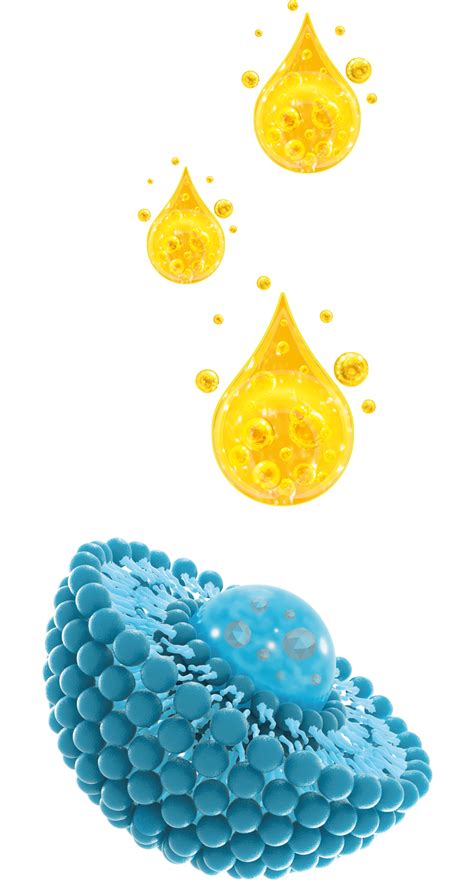 Lsl Silylip™ Lipo Science Laboratory