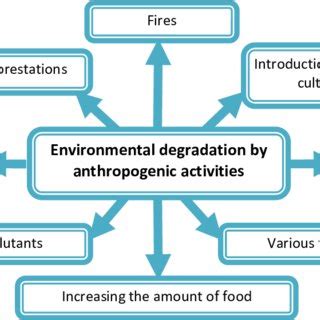 Pdf The Impact Of Anthropogenic Activities On Components Of The
