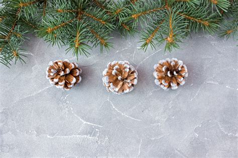 콘크리트 배경에 콘이 있는 가문비나무 가지 휴일 엽서 초대장 새해와 크리스마스의 개념 카피스페이스 0명에 대한 스톡 사진 및 기타 이미지 Istock