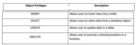 data control language dcl