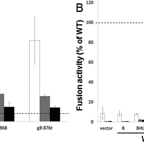 Cell Fusion Activity Of Hsv 1 Gd N Terminal Deletion Mutants Target