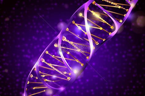 螺旋结构图图片素材 正版创意图片600196508 摄图网 螺旋结构图图片素材 正版创意图片600196508 摄图网