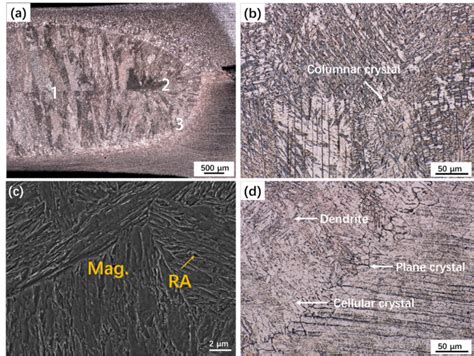Microstructure Of Fz A Macro Fz B Point 1 C Sem Of Point 1