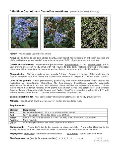 Ceanothus Maritimus Pdf