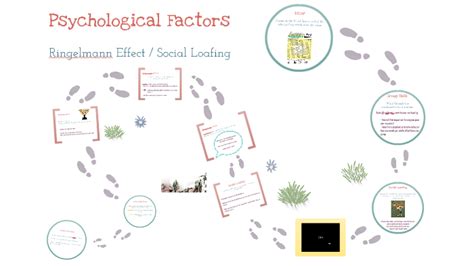 Ringelmann Effect Social Loafing By Kirsty Seymour On Prezi