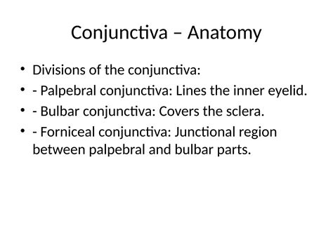 Anatomy Physiology Conjunctiva Cornea Sclera Presentation Pptx