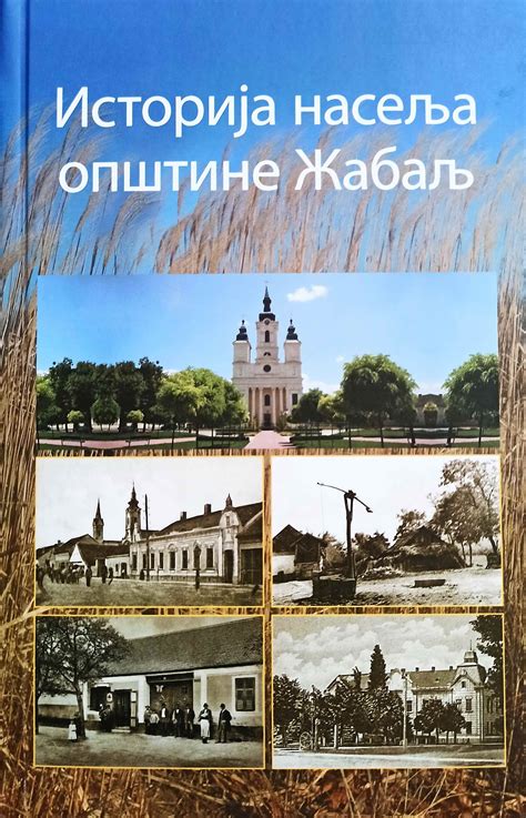 Објављен зборник радова са првог научног скупа „Историја насеља општине Жабаљ” Матица српска