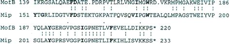 Amino Acid Sequence Alignment Between The C Terminal Part Of Mofb From