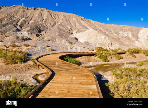 Boardwalk On The Salt Creek Trail Death Valley National Park