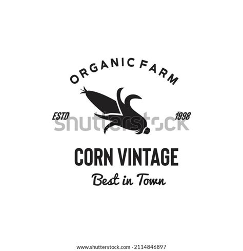 Sweet Corn Field Wildlife Over 7 Royalty Free Licensable Stock