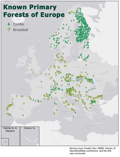 Old Growth Forests Distribution In Europe These Areas Are Important