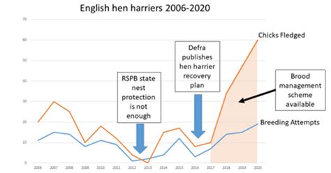 Hen Harrier Numbers Edge Closer To Favourable Conservation Status Levels