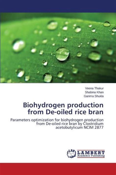 Biohydrogen Production From De Oiled Rice Bran 9783659749100 Thakur Veena Boeken Bol